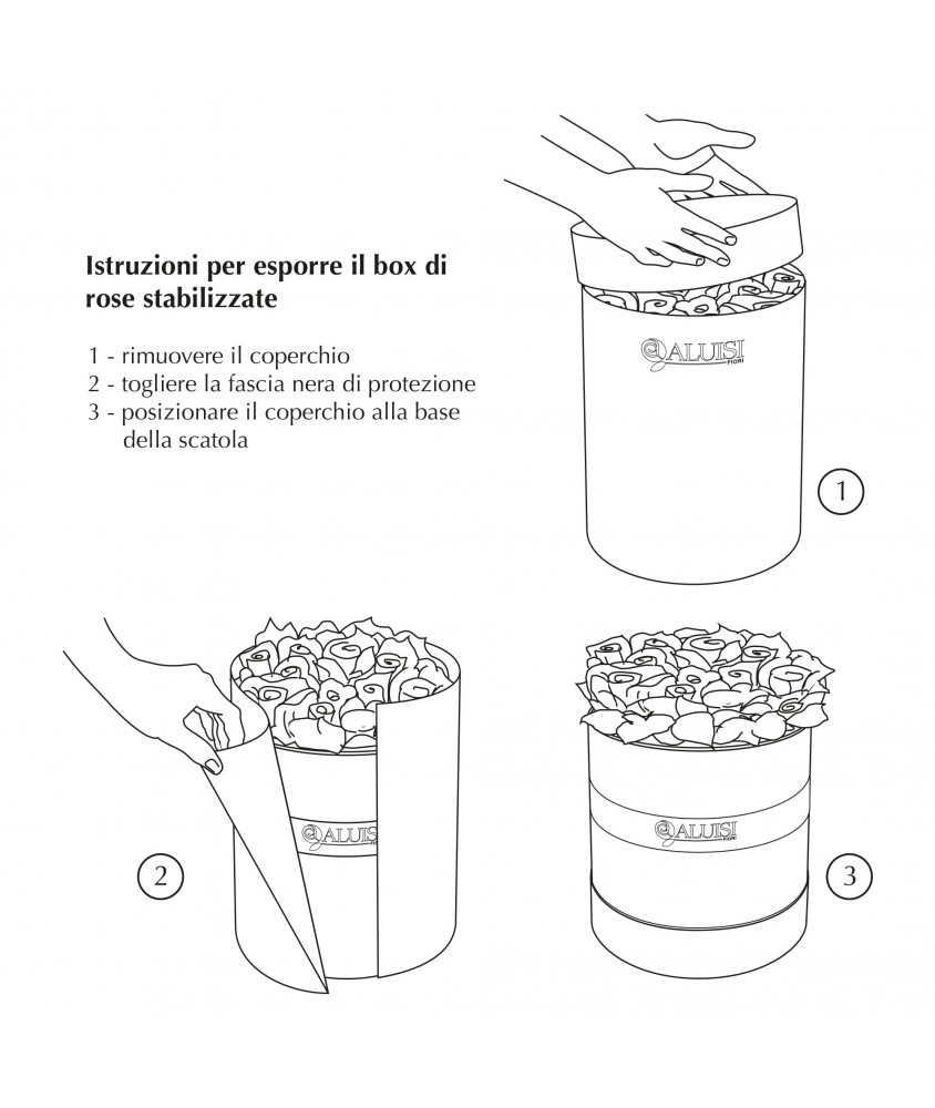 Box di 12 rose rosse stabilizzate - Fiori Aluisi